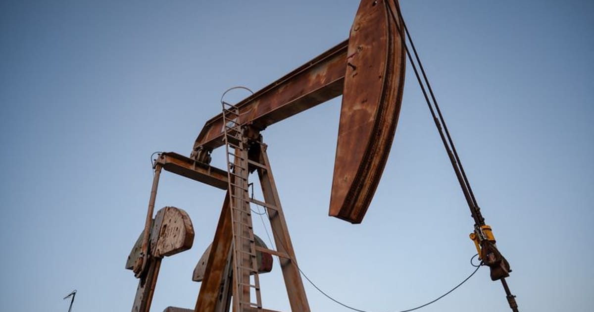 Oil Prices Fall as Trump Cancels Planned Strike on Iran | Finance News