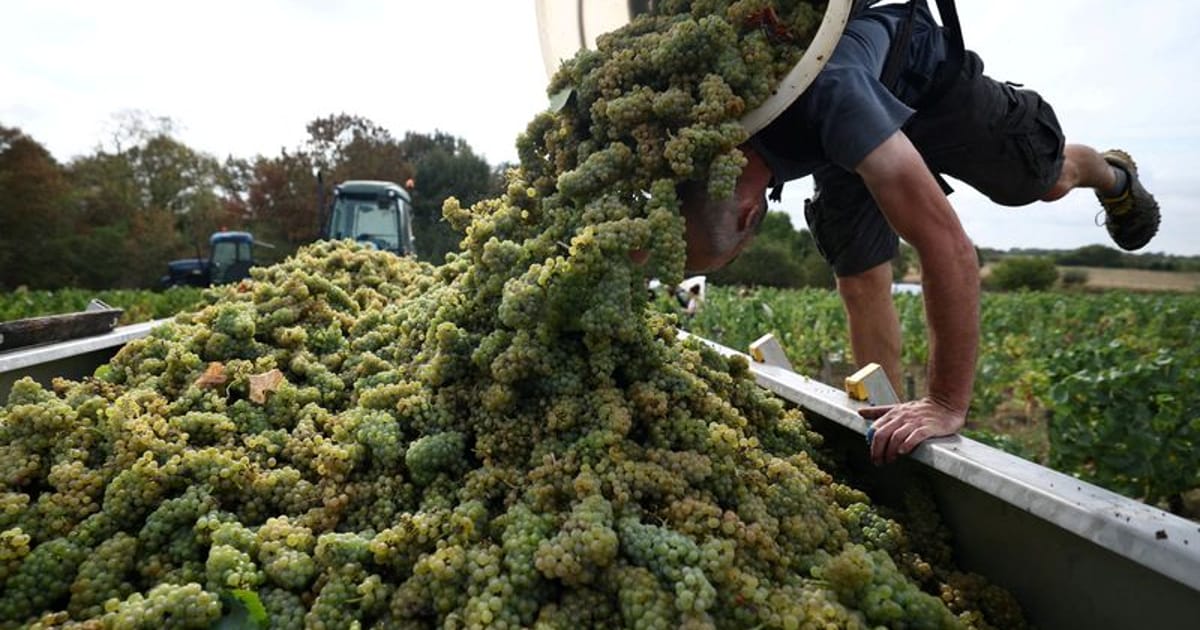 French Wine Exporters Concerned Over Trump's 100% Tariff Threat